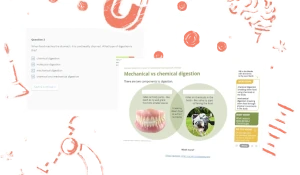 Edrolo Resources Overview for Years 7-10